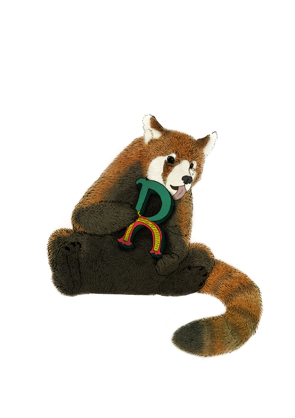 Alexia Tucker Illustration | Animals